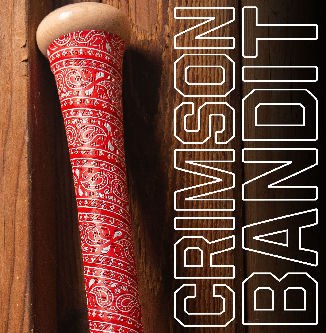 Baseball Equipment & Batting Accessories | Lizard Skins